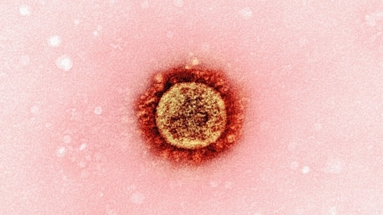 Dermatologist shows what subtle skin cancer looks like: That little ...