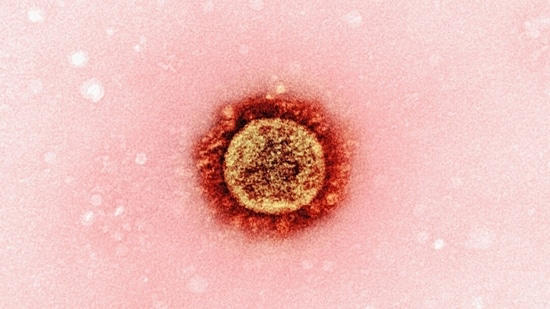 Dermatologist shows what subtle skin cancer looks like: That little ...