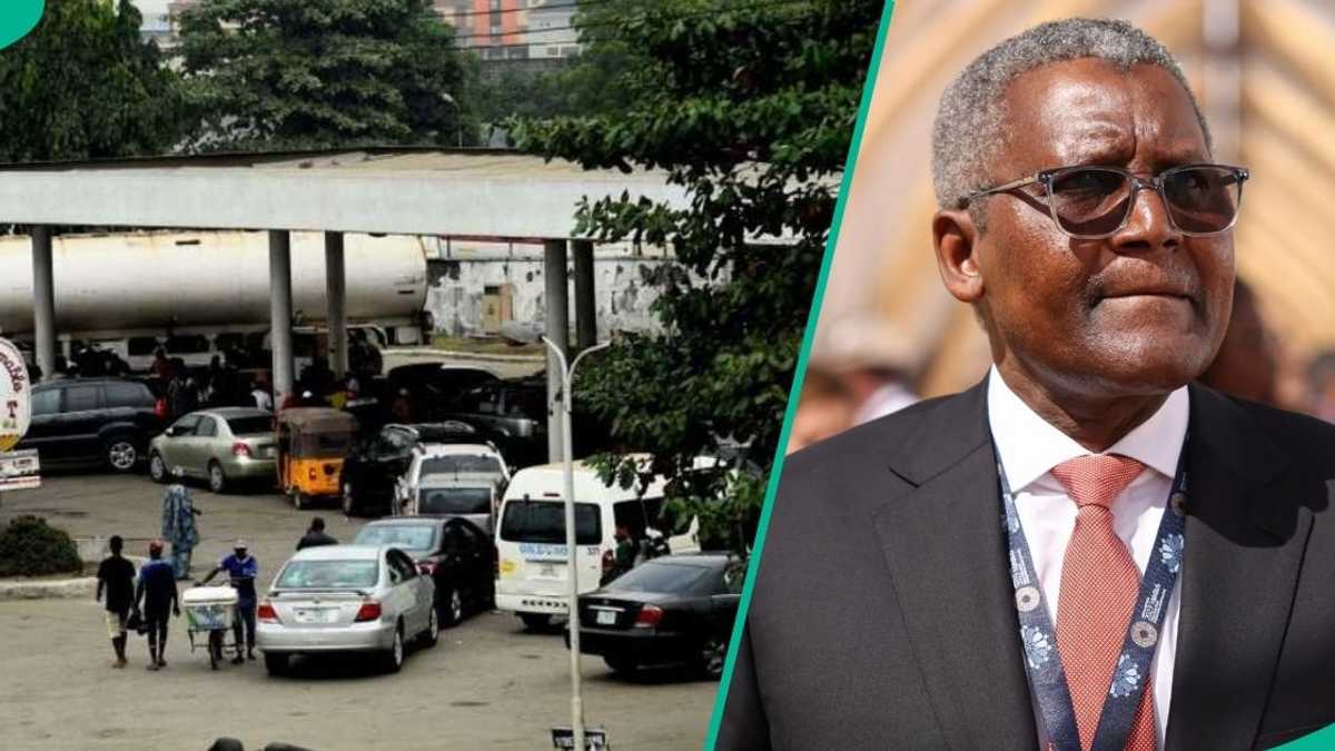 Find out more as Dangote ‘exposes’ depot owners’ requests, dares them ...