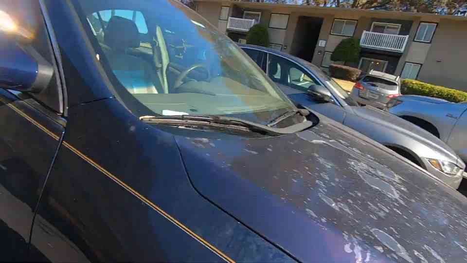 Car Owner Blocks The Wrong Person