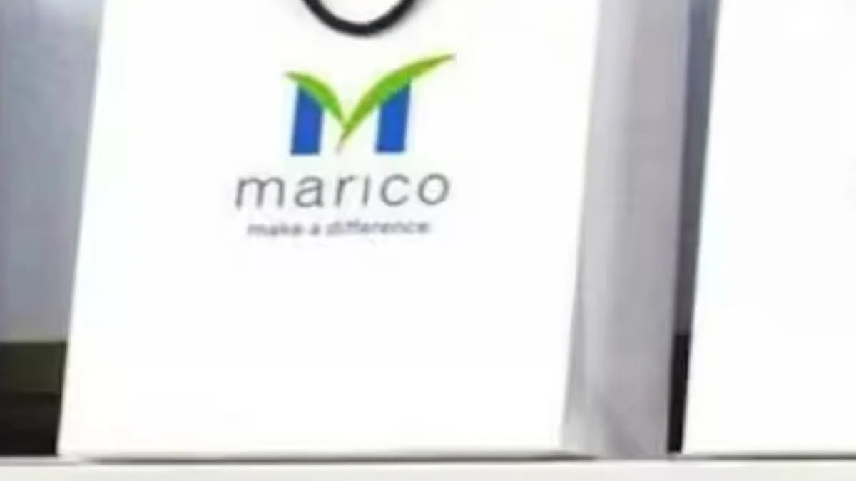 Income Tax survey has no material impact on company, says Marico