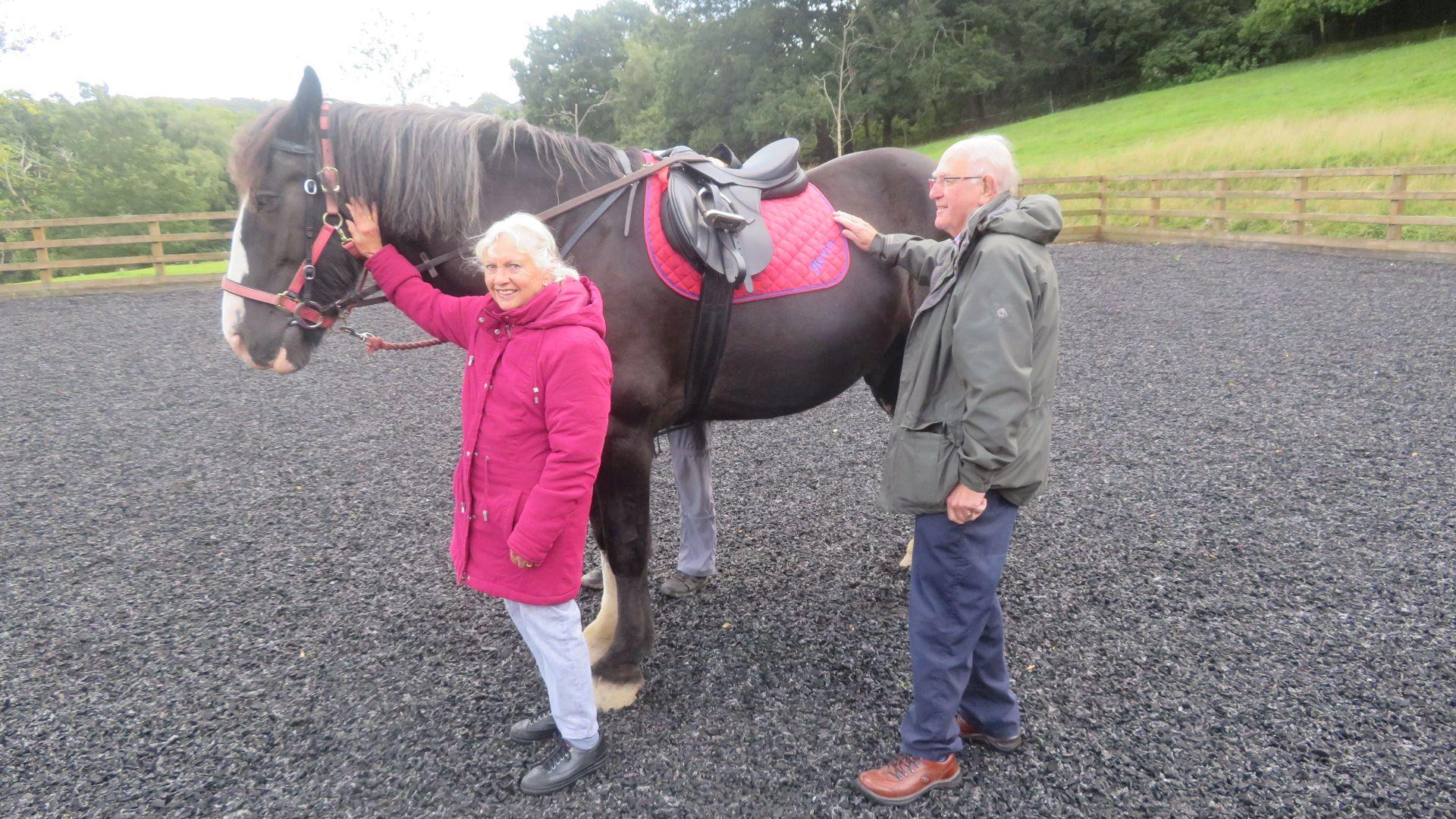 A new saddle for a new horse: Rotarians make donation for Riding for ...