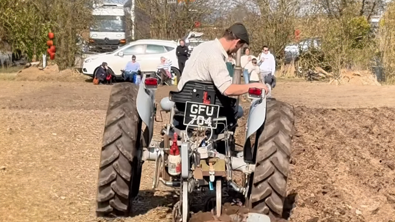 The Grey Fergie Tractor Shows Its Vintage Power in the Field
