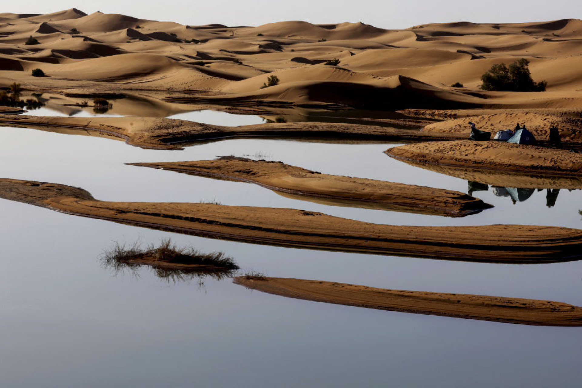 Fascinating facts about the Sahara desert