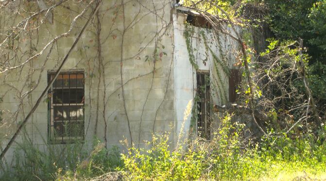 City leaders struggle to find solutions to blight problems