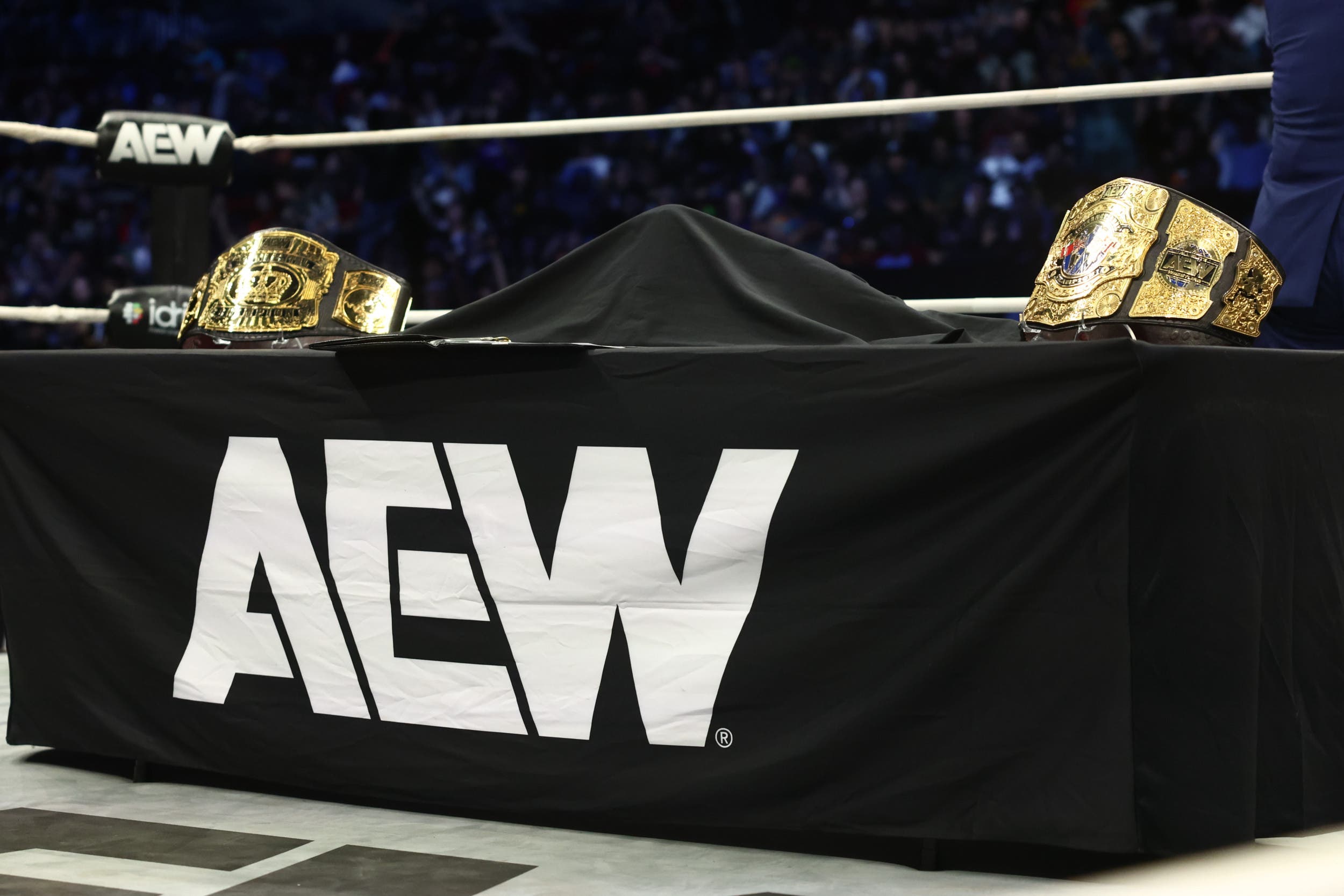 AEW Superstar Reportedly Released