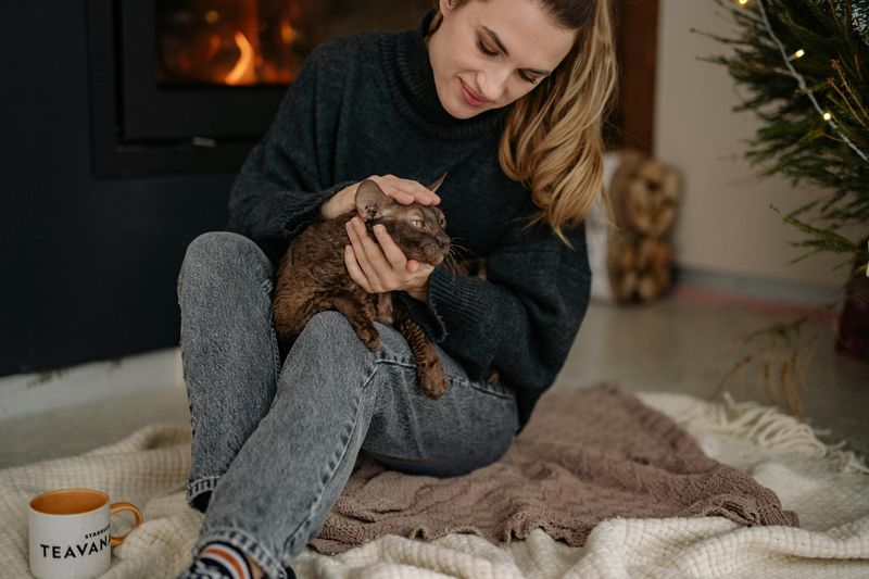 Common Mistakes That Make Your Cat Stressed Without You Realizing It