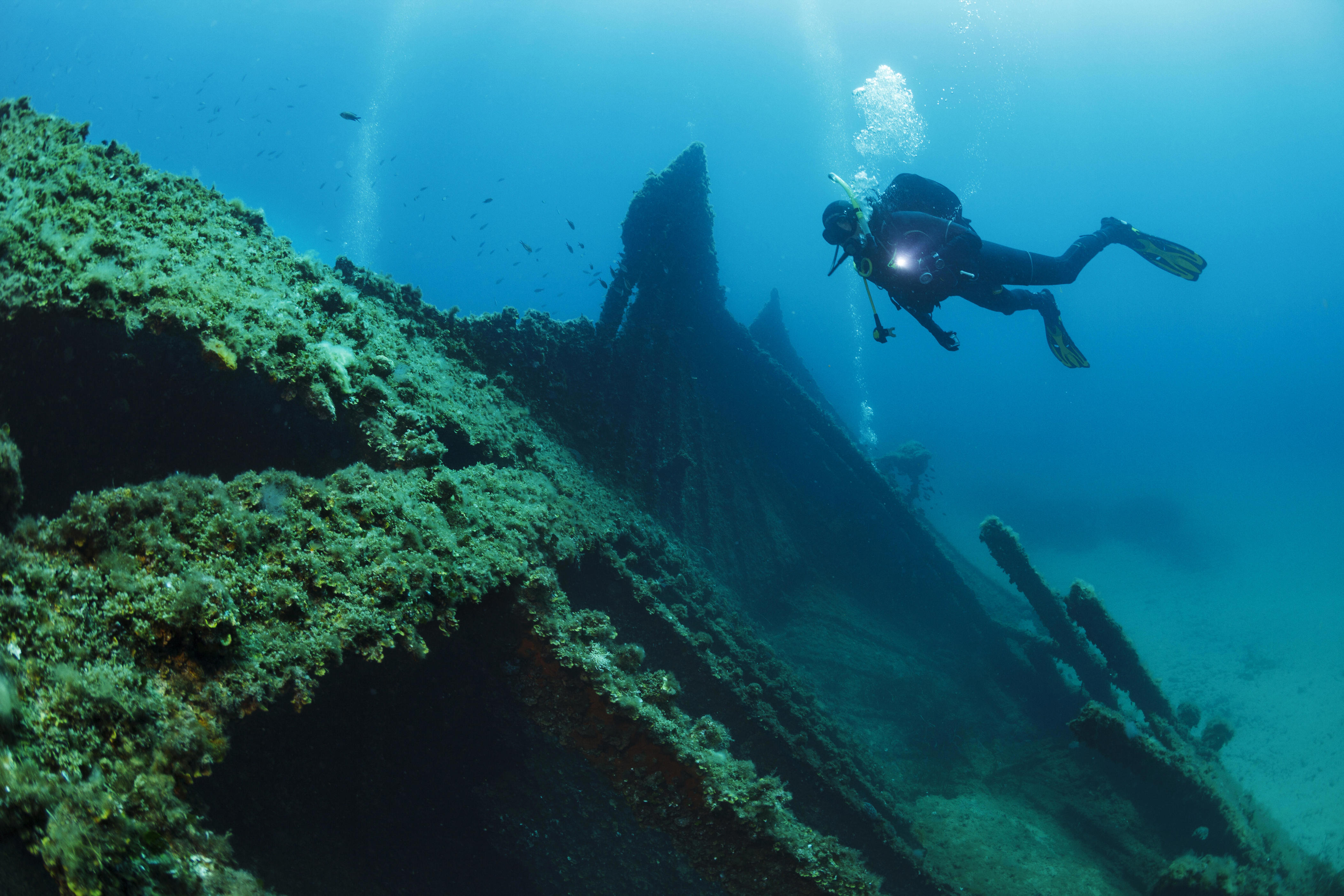 Diver found dead at Florida Keys Eagle shipwreck site