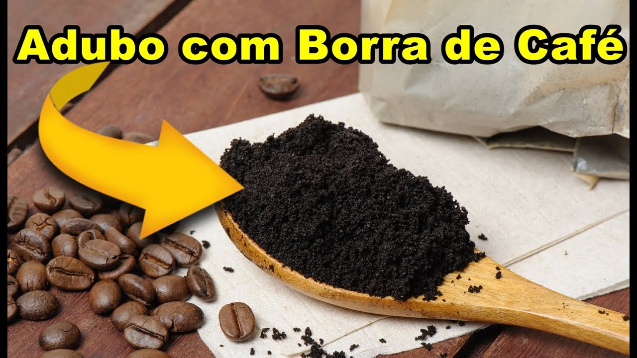 Como Fazer Adubo Orgânico com Borra de Café – Do Jeito Certo!