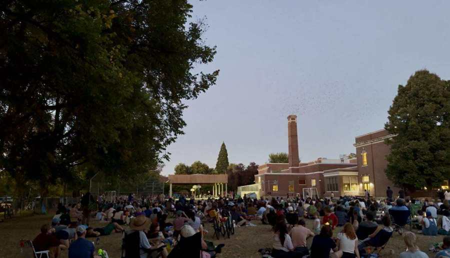 WATCH: Vaux’s Swifts find new home at Abernethy Elementary