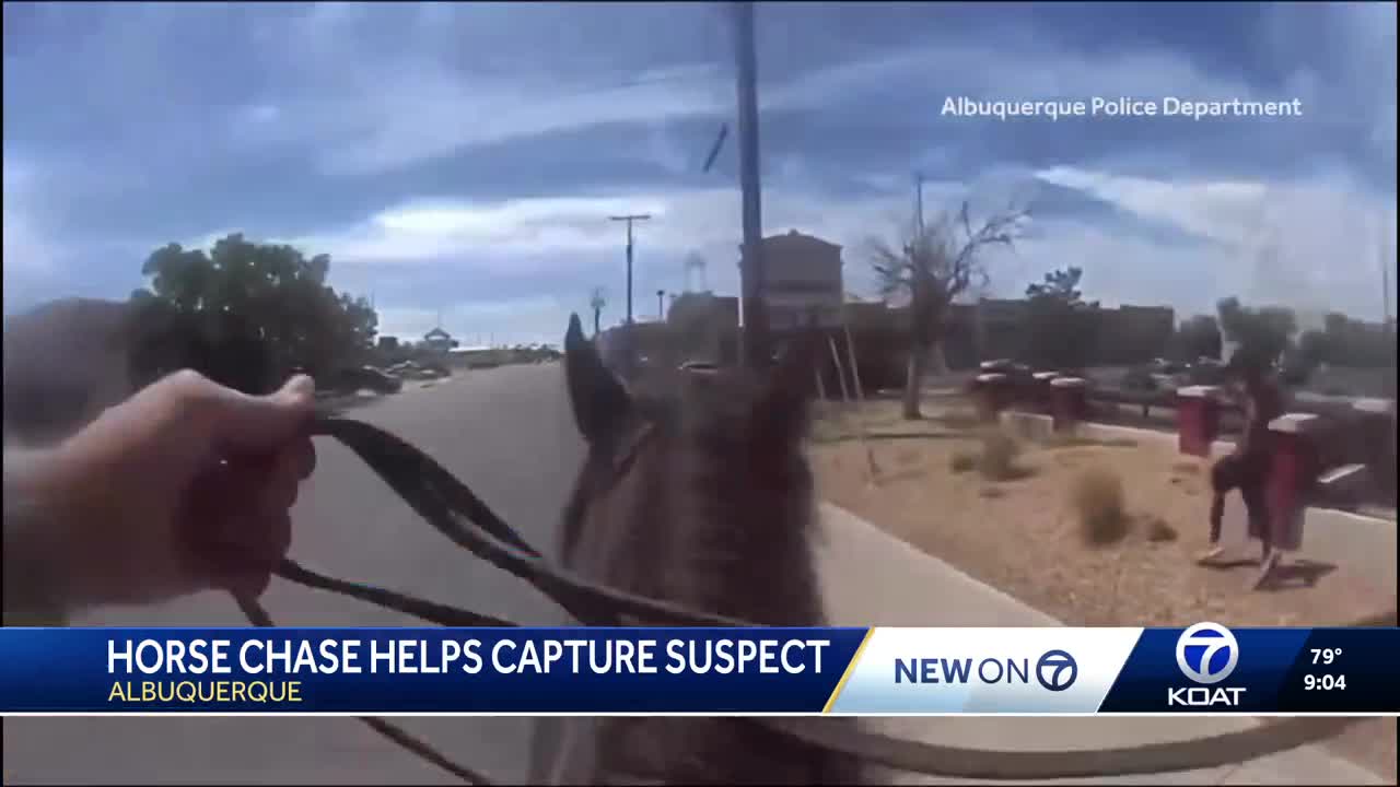 Police on horses chase a suspect through Albuquerque