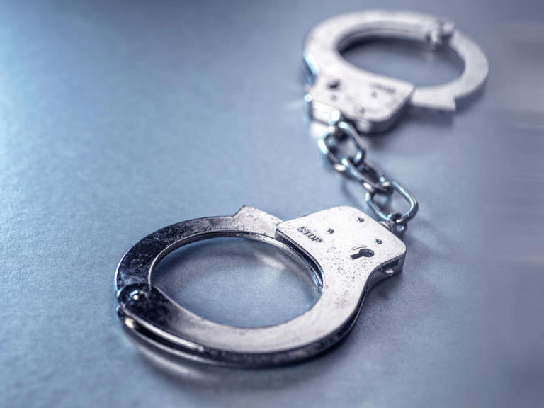 Ulta Beauty thefts, stolen car, multiple chases: Charges filed against ...