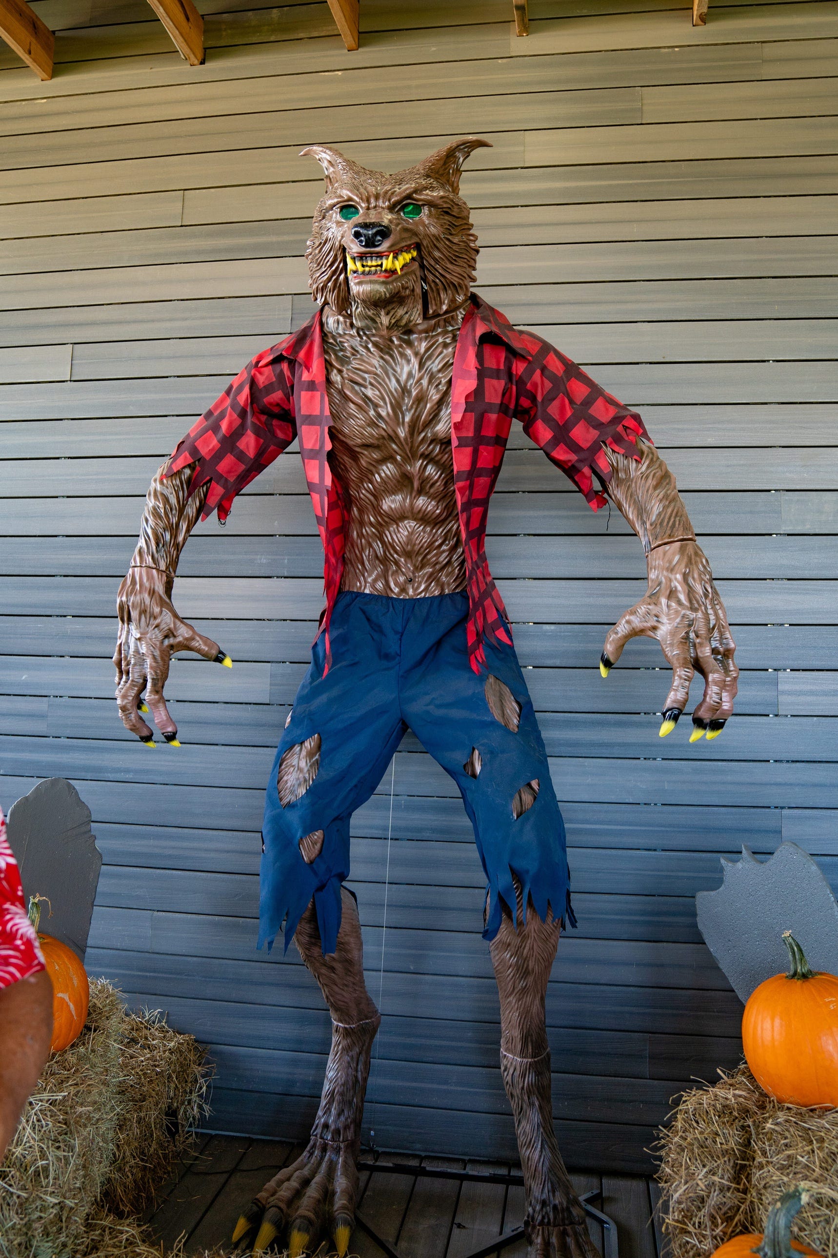 Rougarou, Letiche and other cryptids. What to know about the creatures ...