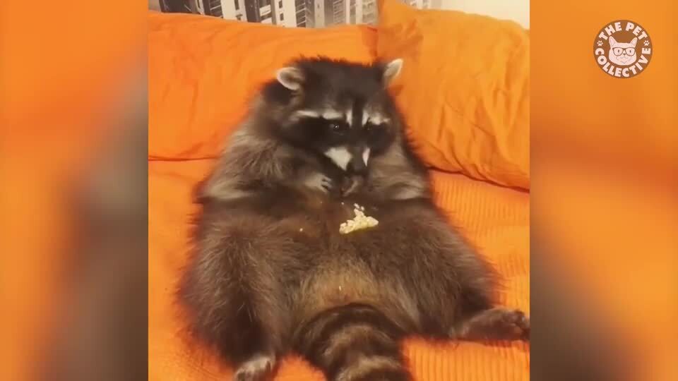 Prepping For That Winter Bod