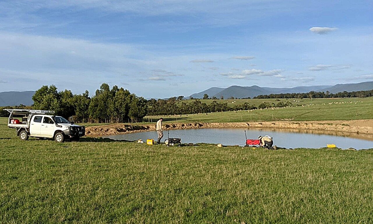 Farm dams could cut emissions and boost wildlife if farmers get support