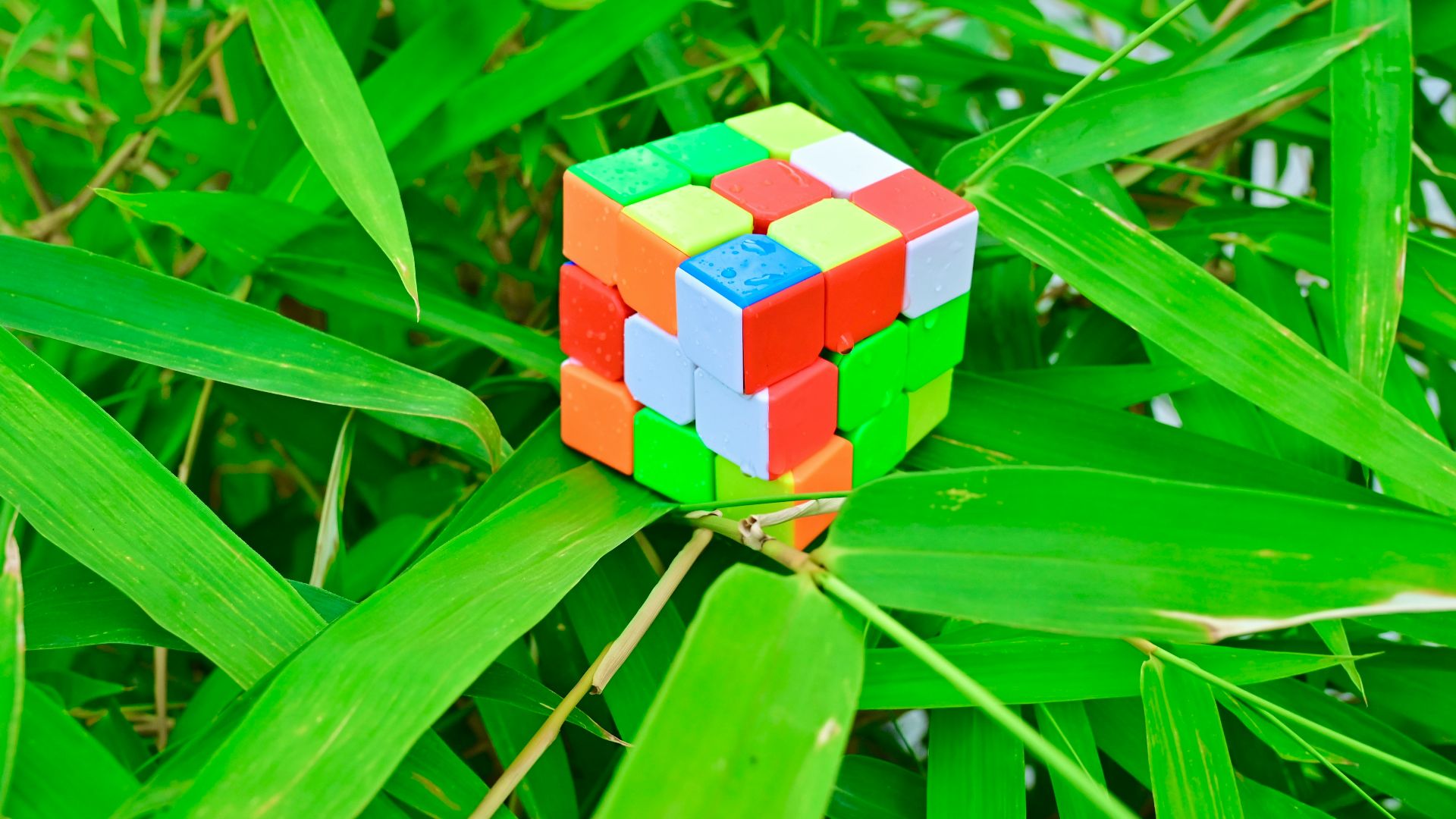20 Impressive Skills That Are Secretly Easy To Learn
