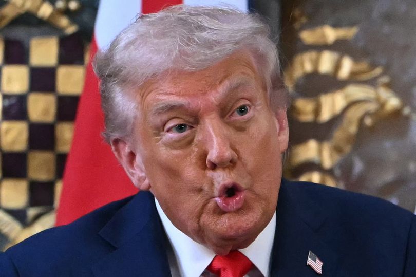 CNN abruptly stops show to issue urgent Donald Trump alert in brutal ...