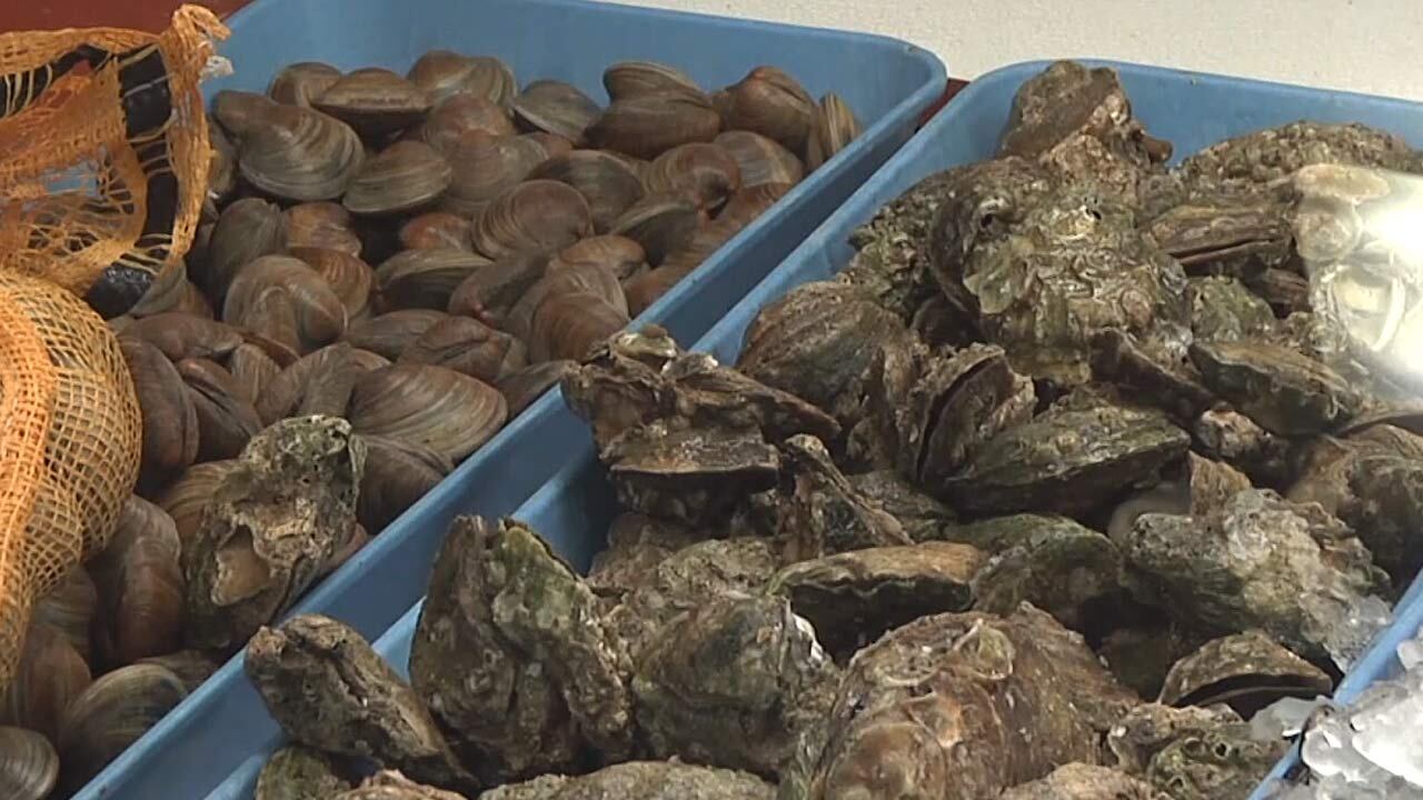 SC’s shellfish harvest season starts Oct. 1