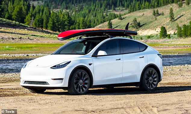 Man and two children burn alive inside a Tesla with rescuers unable to ...