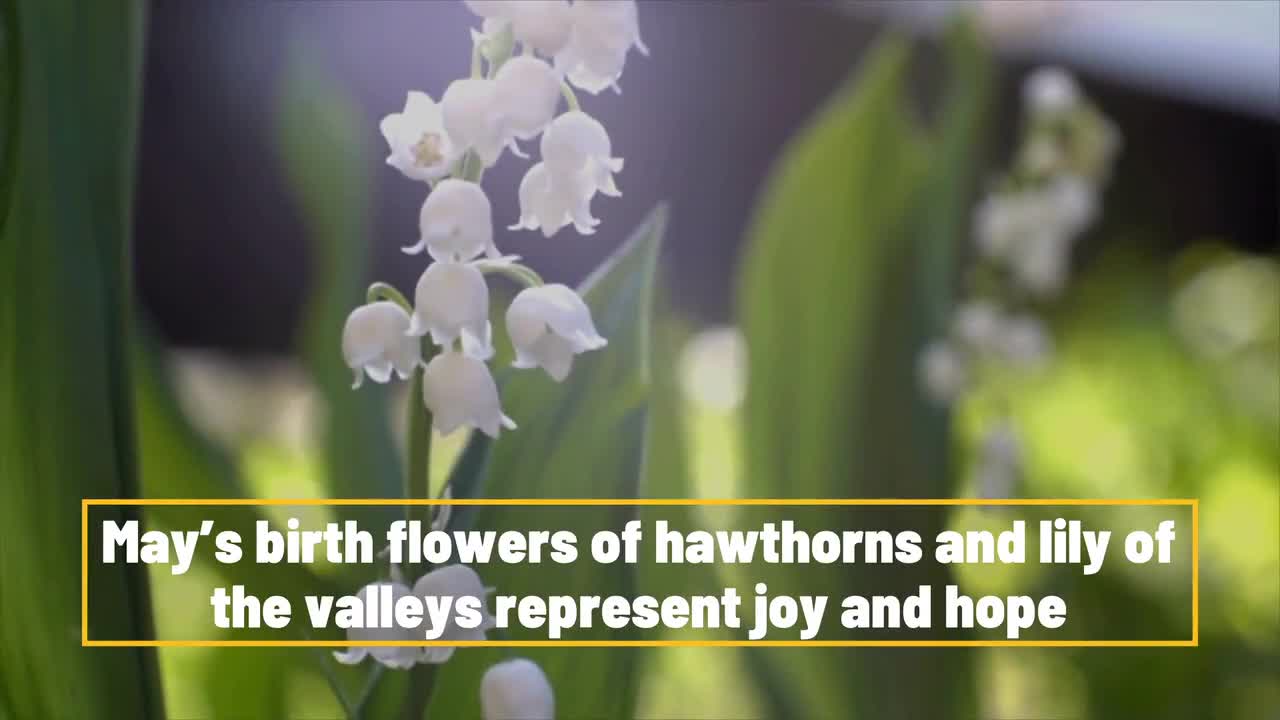 Everything You Need To Know About The Birth Flower Trend