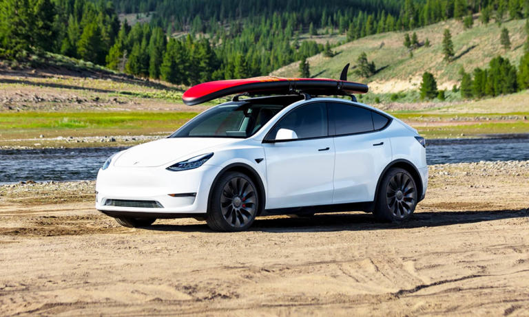 Man and two children burn alive inside a Tesla with rescuers unable to ...