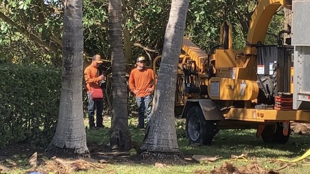 OSHA fines tree-trimming company in wood-chipper death