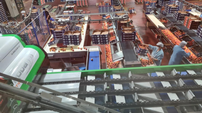 Upcoming Ubisoft games: Every new Ubisoft game in development