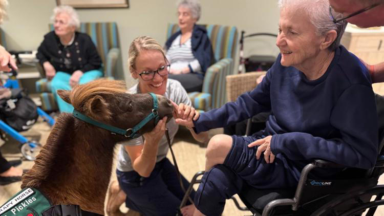 Miniature pony brings joy and excitement to residents at Bradenton ...