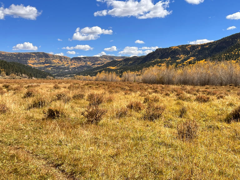 2 bodies found in search for elk hunters missing near Colorado-New ...