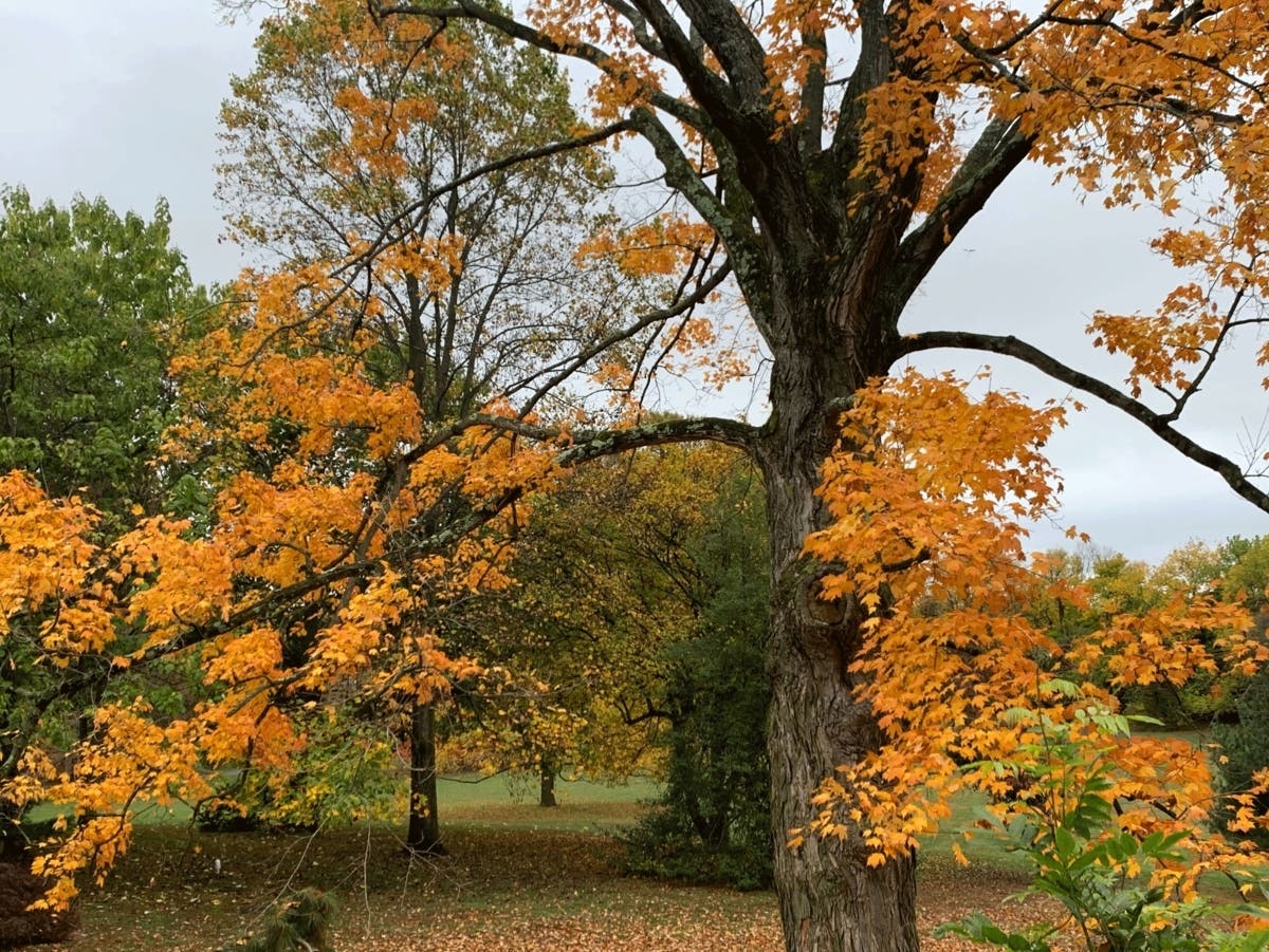 2025 Autumnal Equinox Is Monday; When It Will Feel Like Fall In FL