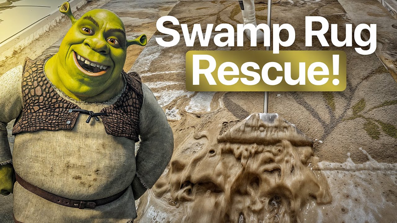 Restoring a rug that looked like it came from Shrek's swamp!