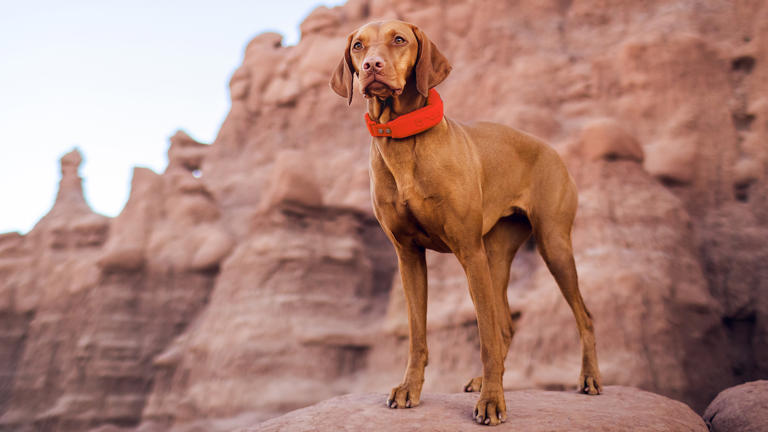 Is Netflix’s ‘Wayward’ Based on a True Story?