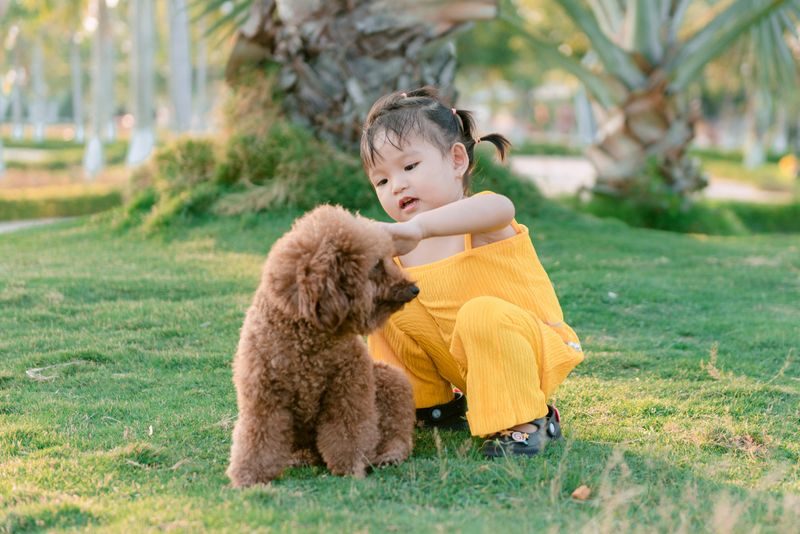 11 Positive Experiences That Leave A Lifelong Mark On Your Dog