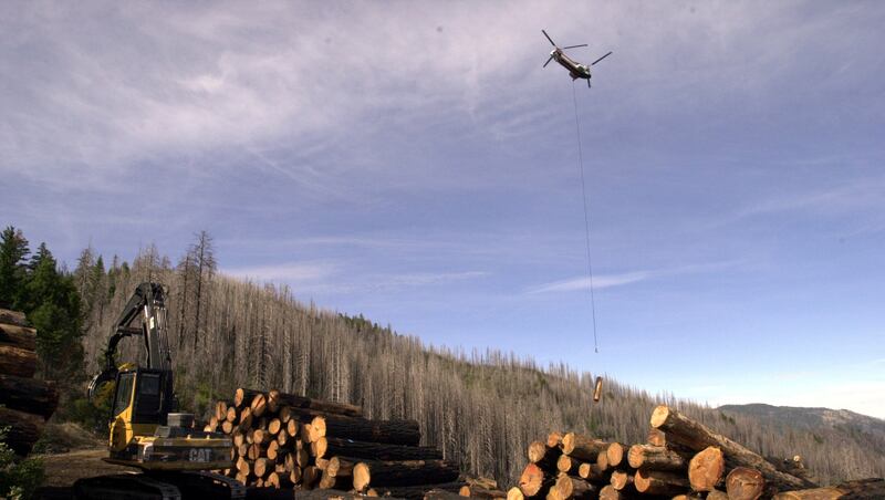 Utah Sen. Mike Lee says it’s time to rethink the Roadless Rule