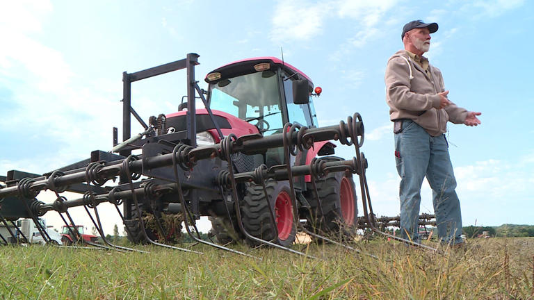 ‘Community crop’: Cranberry harvest on track to lead U.S. for 31st year