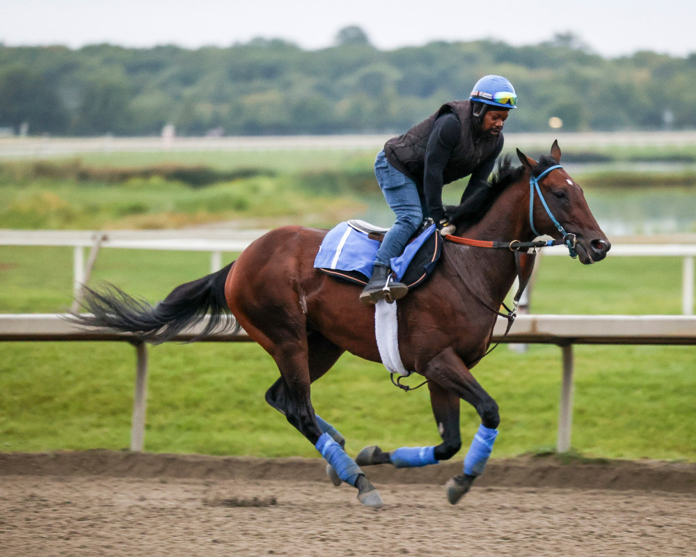 Bill Mott selected as Baeza’s new trainer