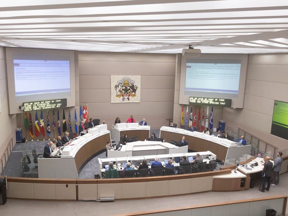 Braid: City hall bosses tell elected councillors — if you've got a ...