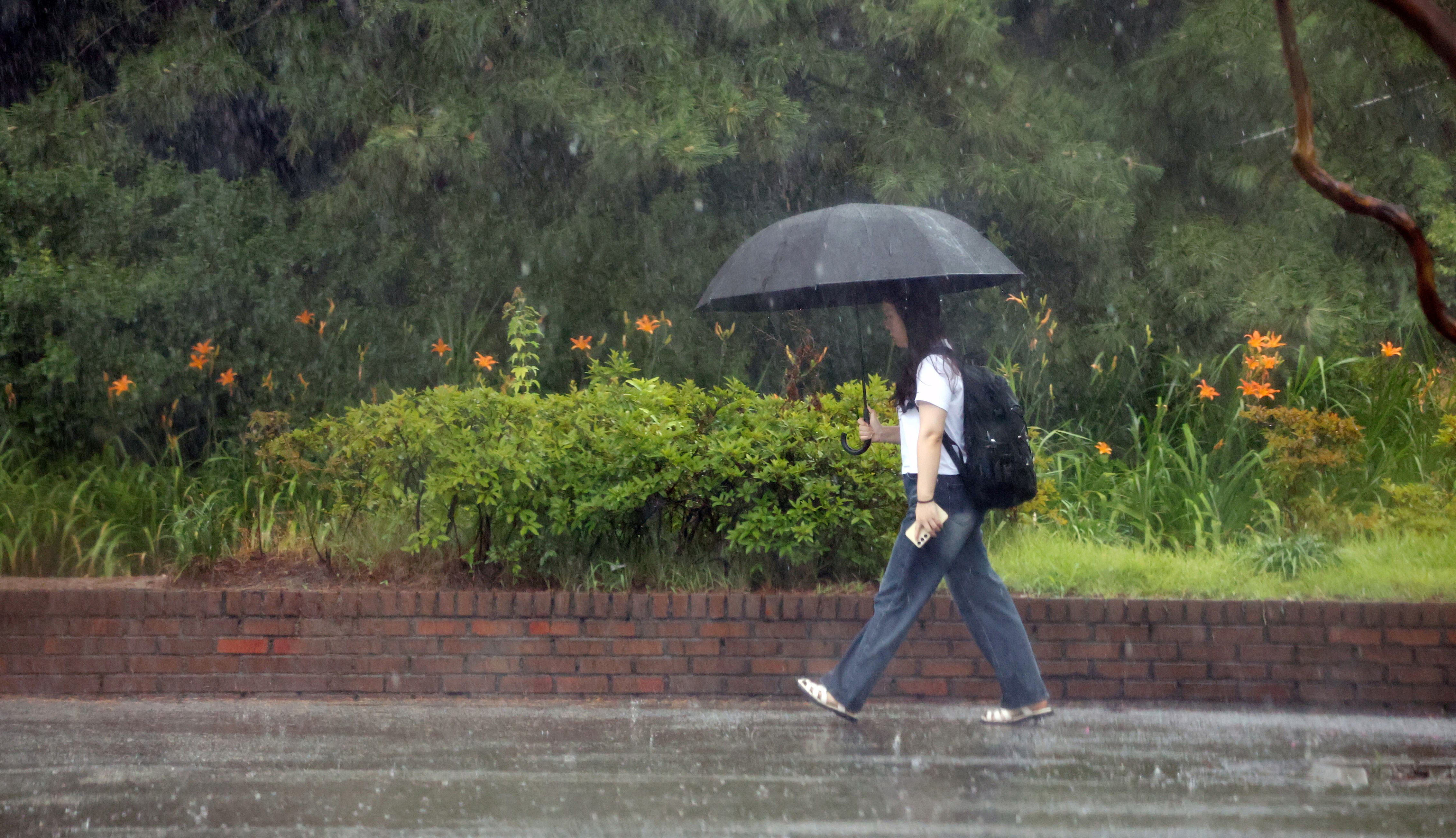 Triple typhoons bring heavy rain to South Korea this weekend