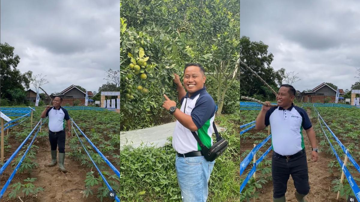 Banting Setir Jadi Petani,Narji Diisukan Punya Tanah 1.000 Hektar ...