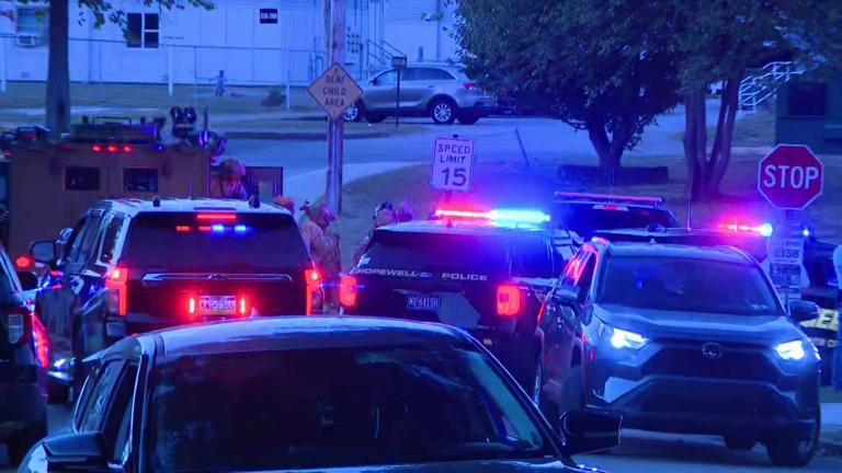 Police: Aliquippa student fired gun at authorities before being shot ...