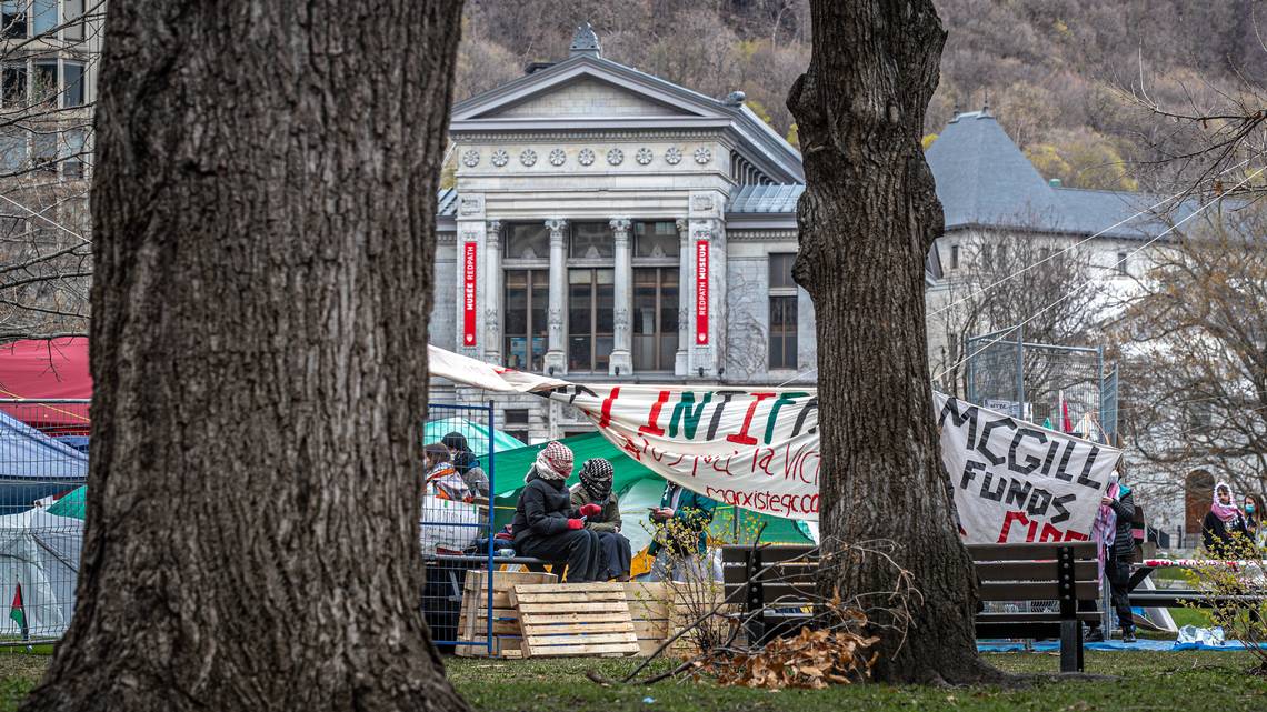 Masked demonstrators, encampments and ‘sweetie sentences’ among policy ...