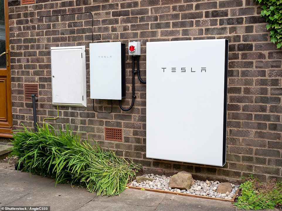 Man and children burn alive inside a Tesla
