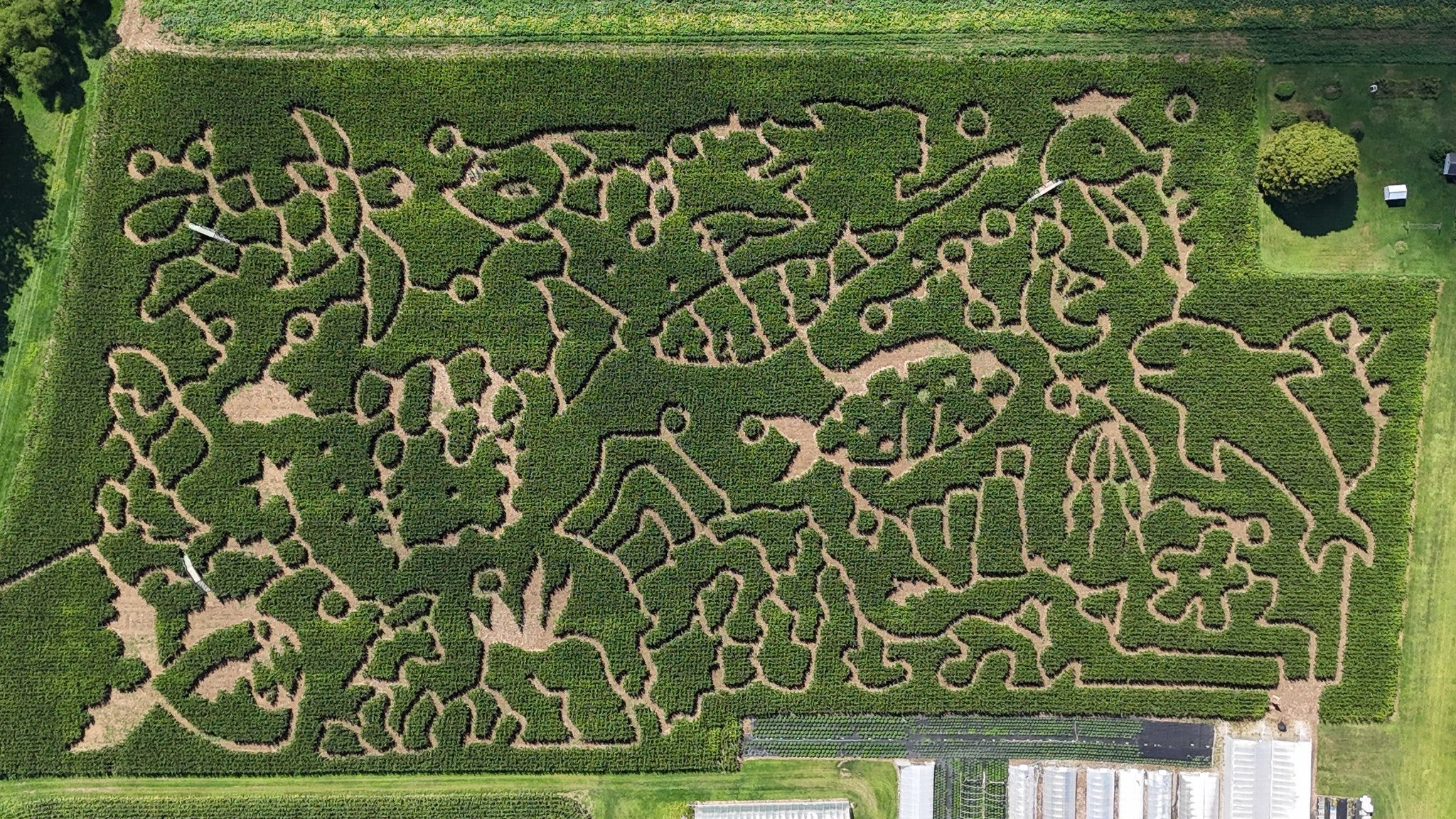 This corn maze in Georgia is considered one of the best in America by ...