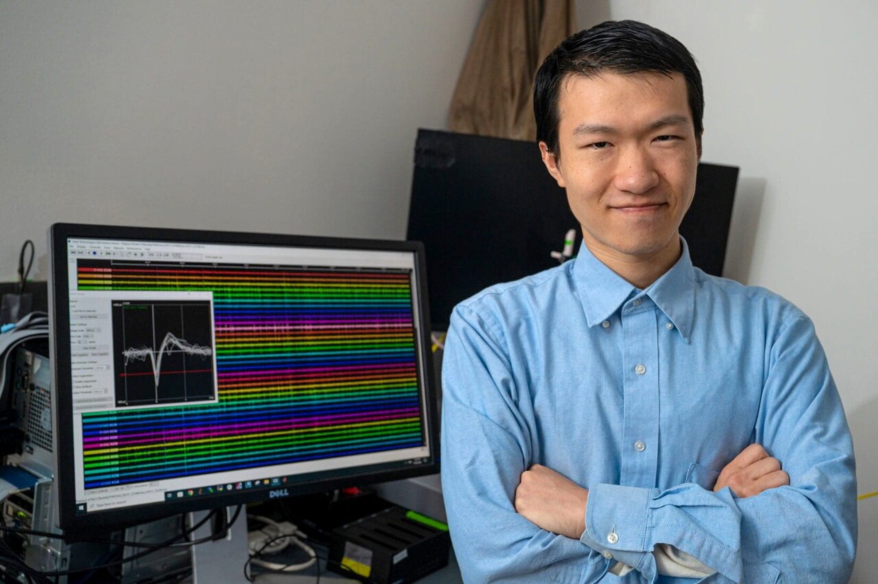 'Rhythm beats volume': How the brain keeps the world looking familiar