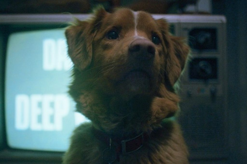 Good Boy: ¡La peli de terror con un perro se estrenará en México!