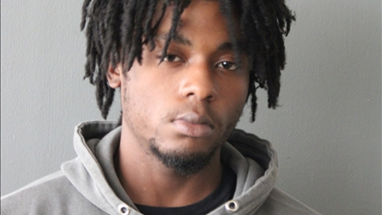 Chicago man arrested nearly 5 months after shooting 19-year-old woman ...