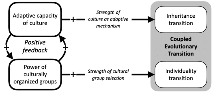Researchers Say Humans Are In the Midst of an Evolutionary Shift Like ...