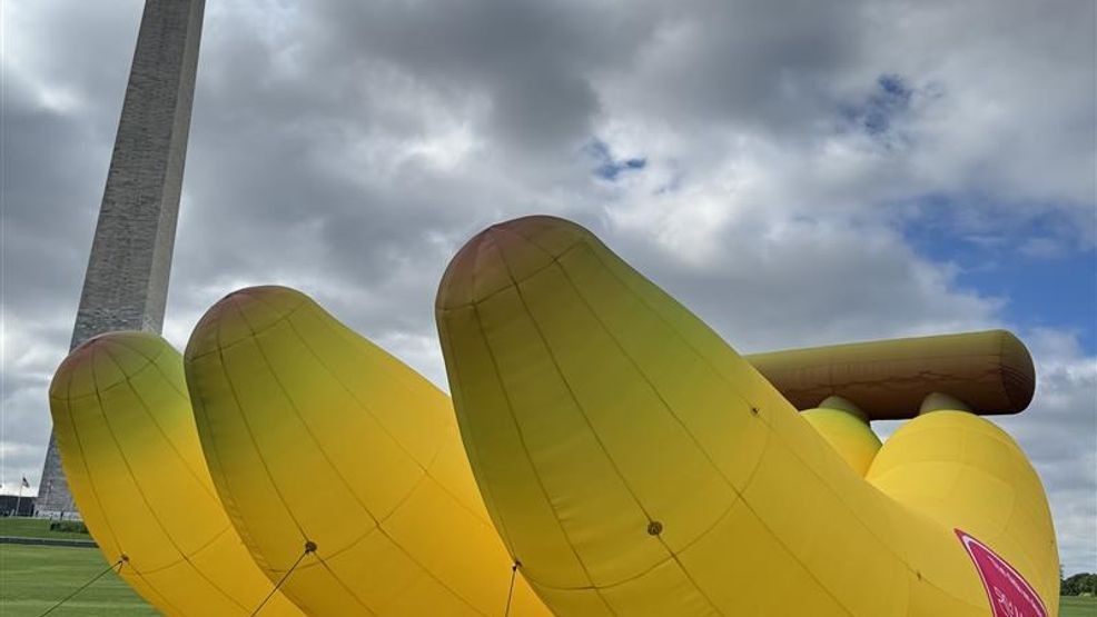 Giant inflatable bananas call for reliable data near Washington Monument