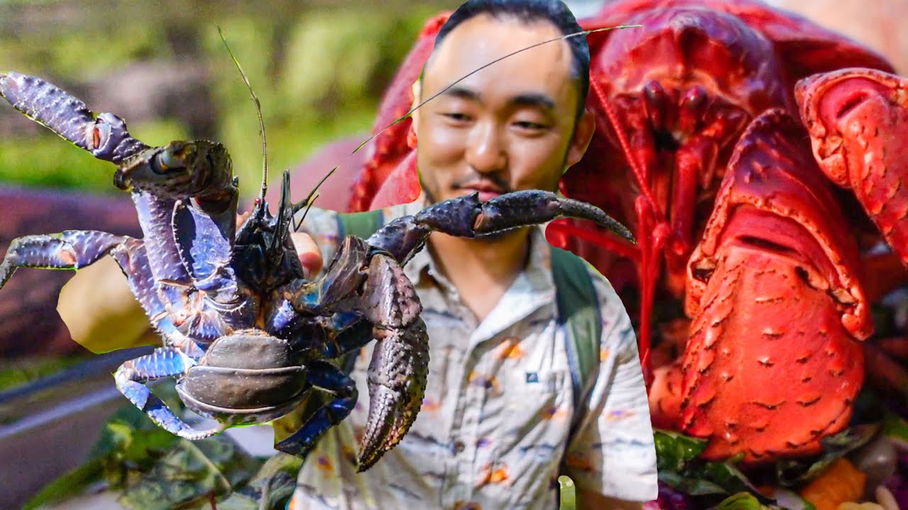 Coconut crab hunt