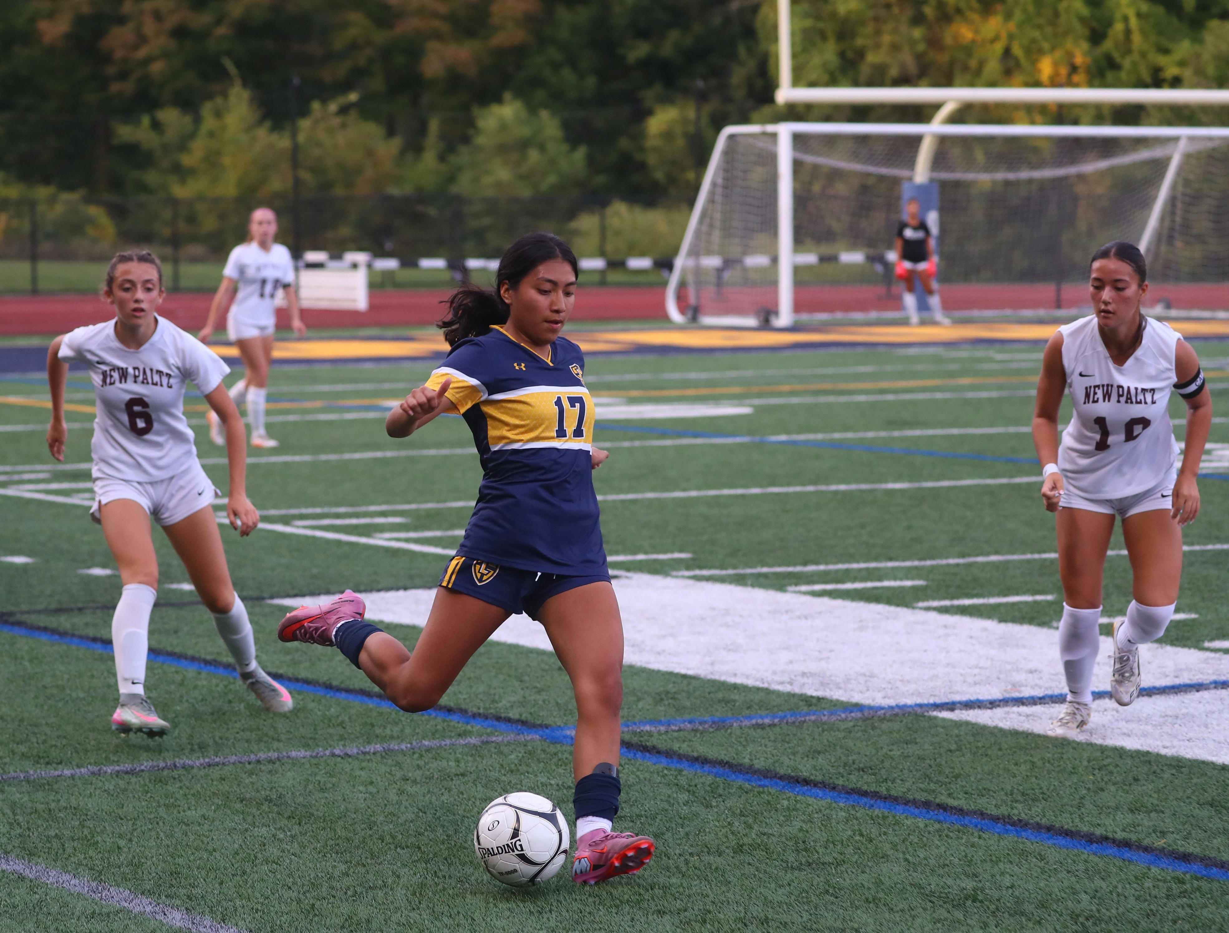 Vote for the Poughkeepsie Journal girls soccer player of the week for ...